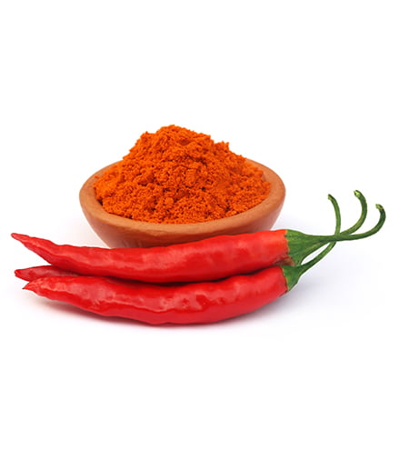 Neelikon – Natural Food Colours Pigment Manufacturer & Supplier