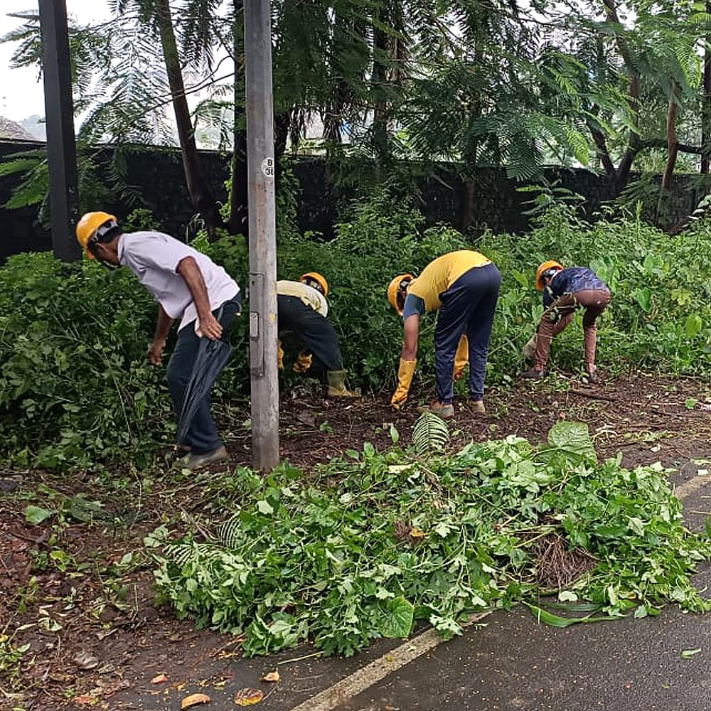 Corporate Social Responsibility (CSR) Activity - Neelikon